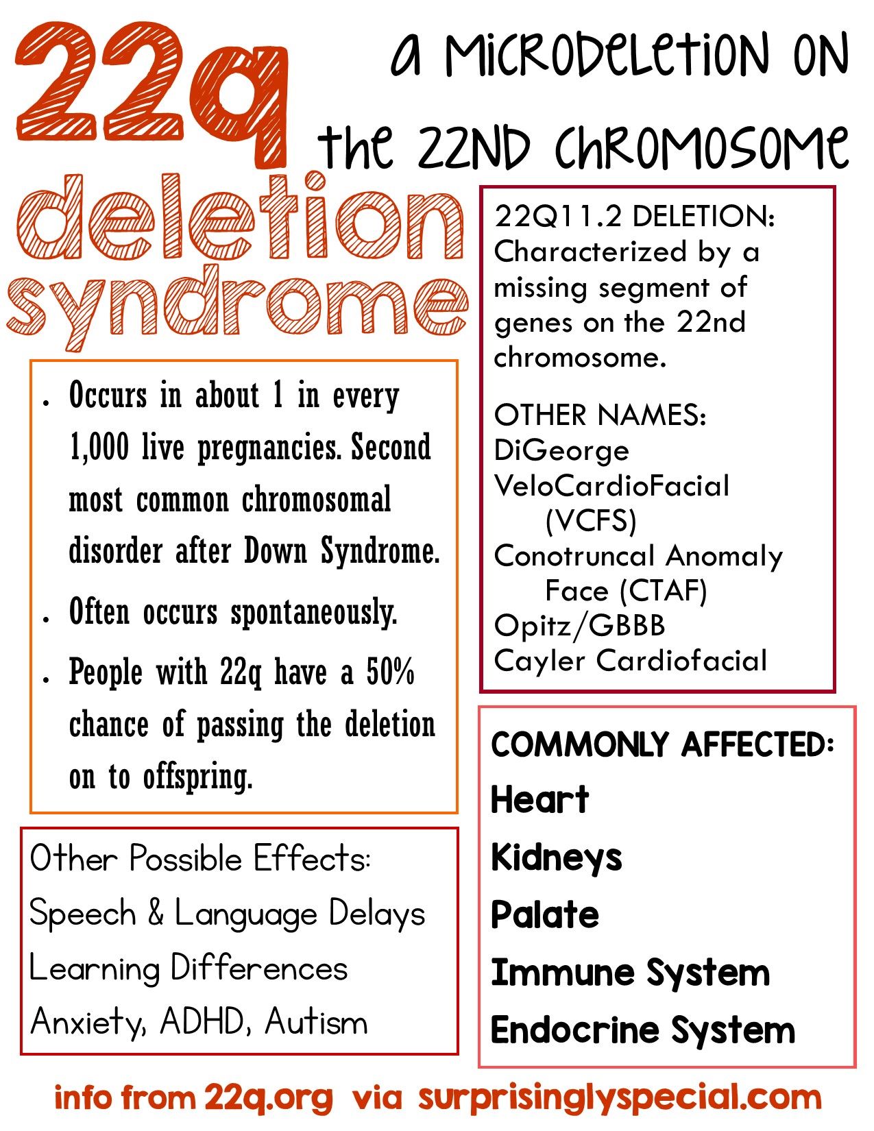 Rare Disease Day: Get to Know 22q and Dup15q – Surprisingly Special