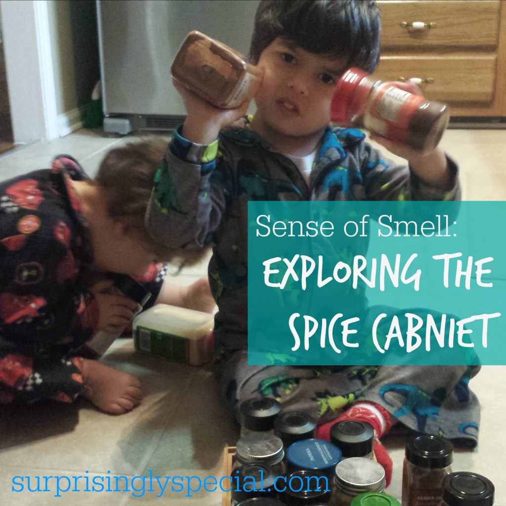 Exploring our 5 Senses – Surprisingly Special