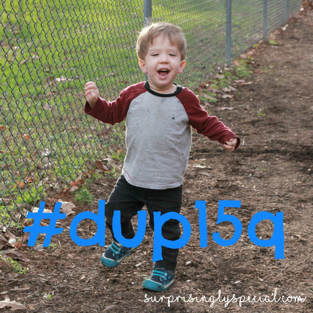 15 Super Special Things About my Son with Dup15q Syndrome ...